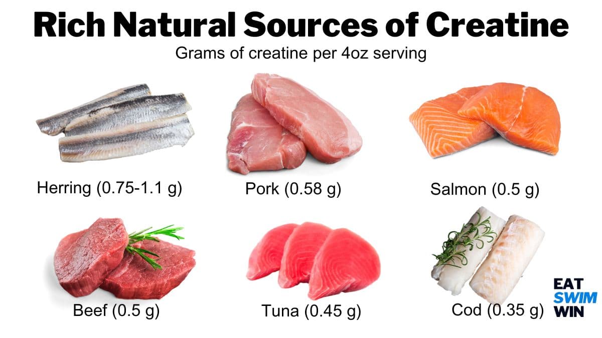 Natural Sources of Creatine To Fuel Your Performance